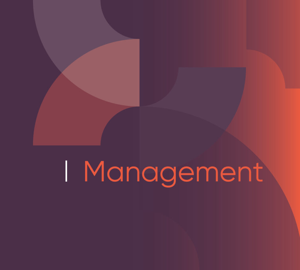 Data Infrastructure Management - E-Storage